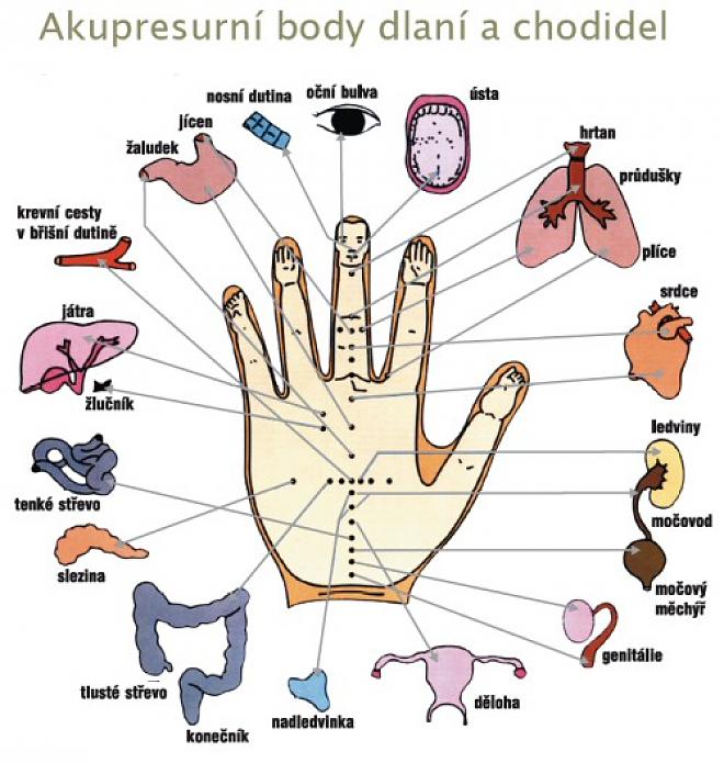 Akúpresúrne drevené kameňe / JozefZajac / SAShE.sk